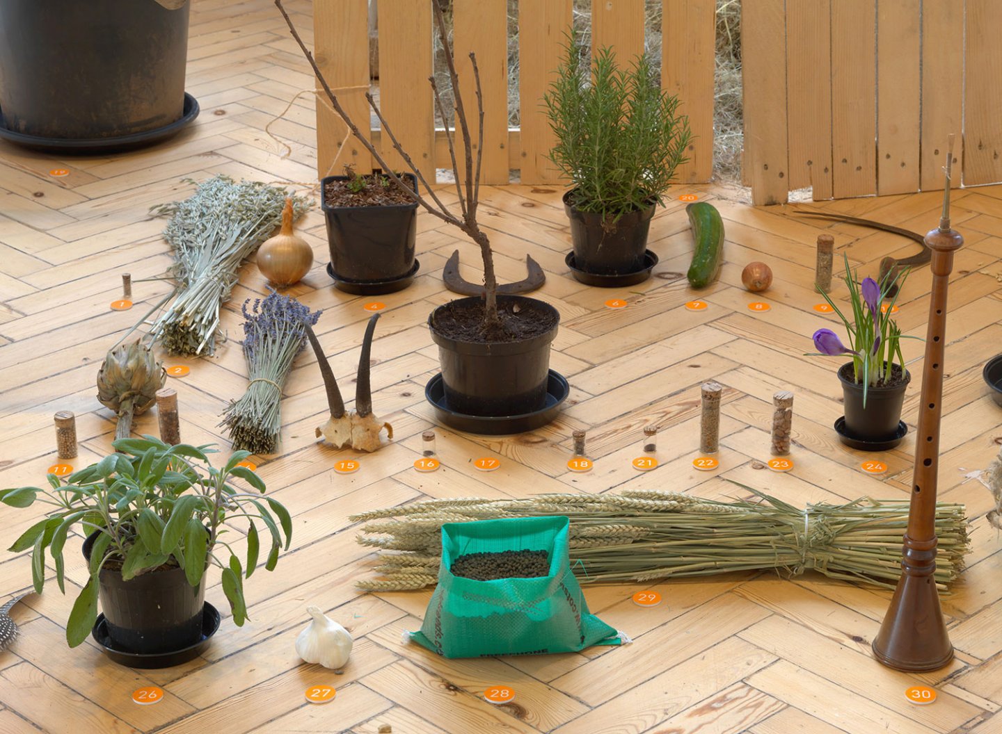 Ruth Ewan Camden Arts Centre / London | | Flash Art