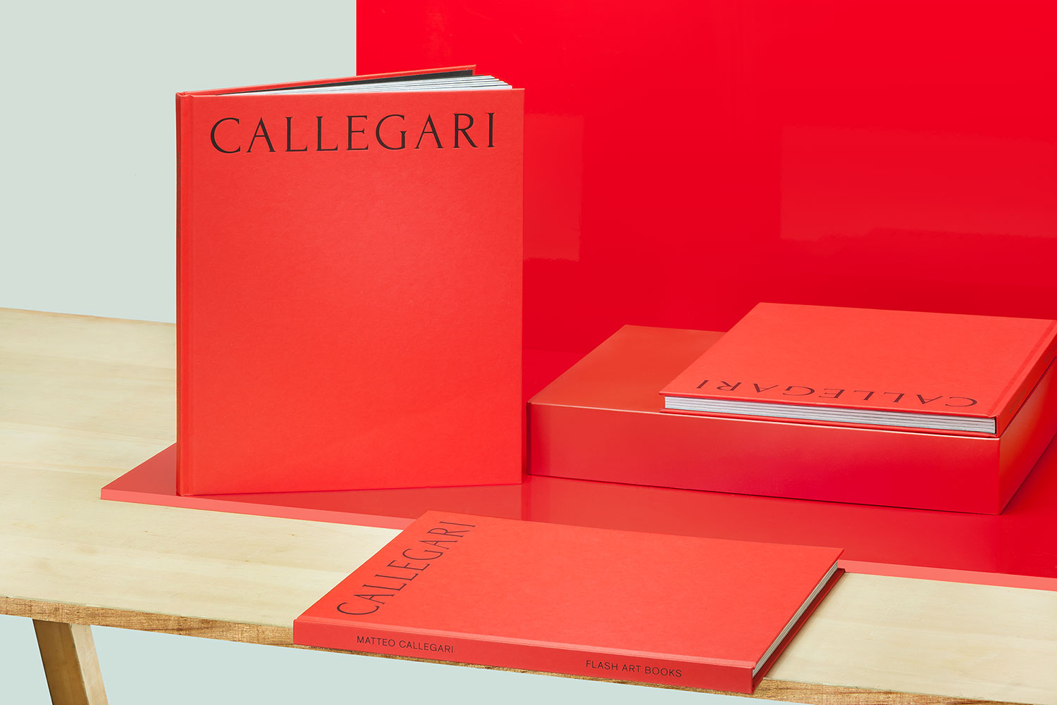 Matteo Callegari – Flash Art