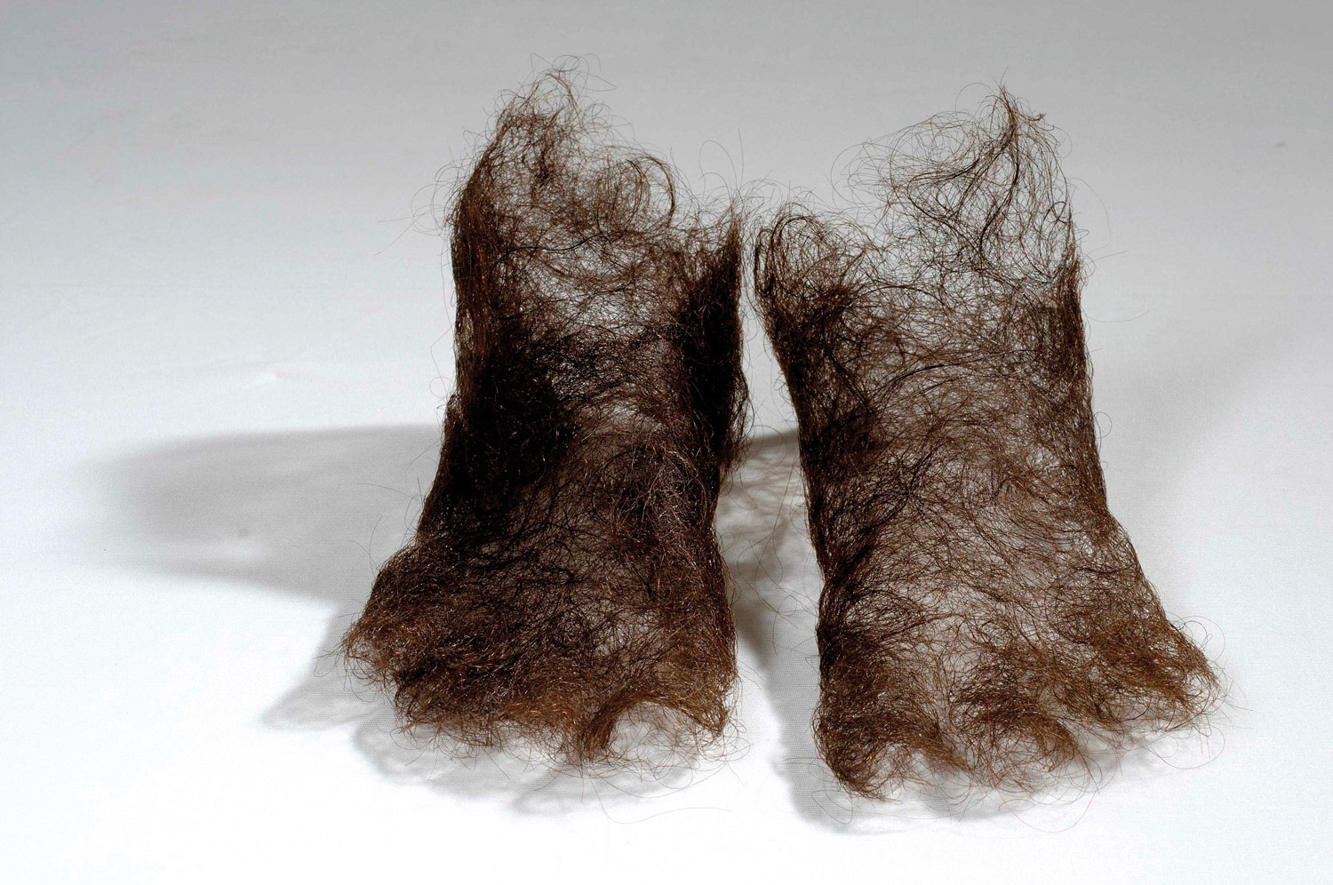 Contrary Signs | | Flash Art