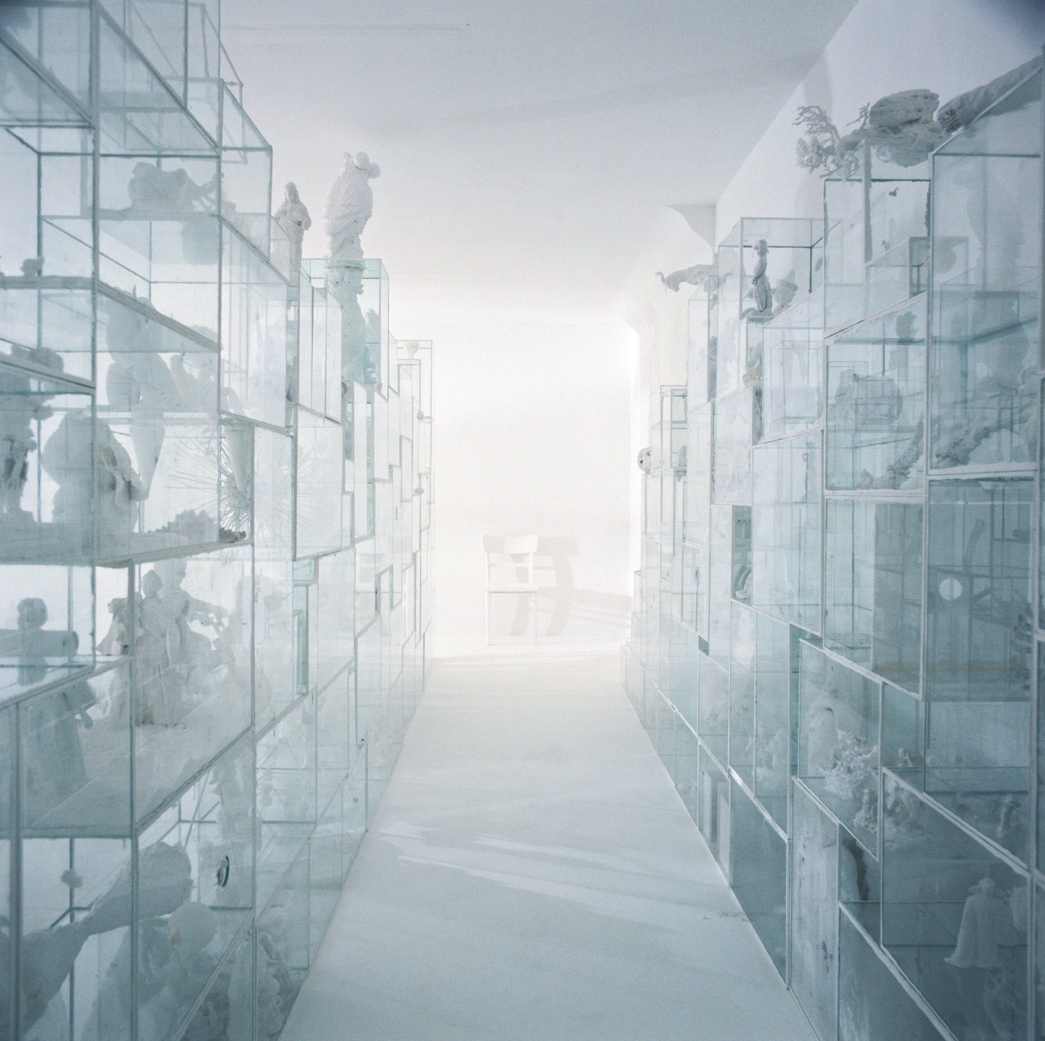 Terence Koh / Banks Violette | | Flash Art