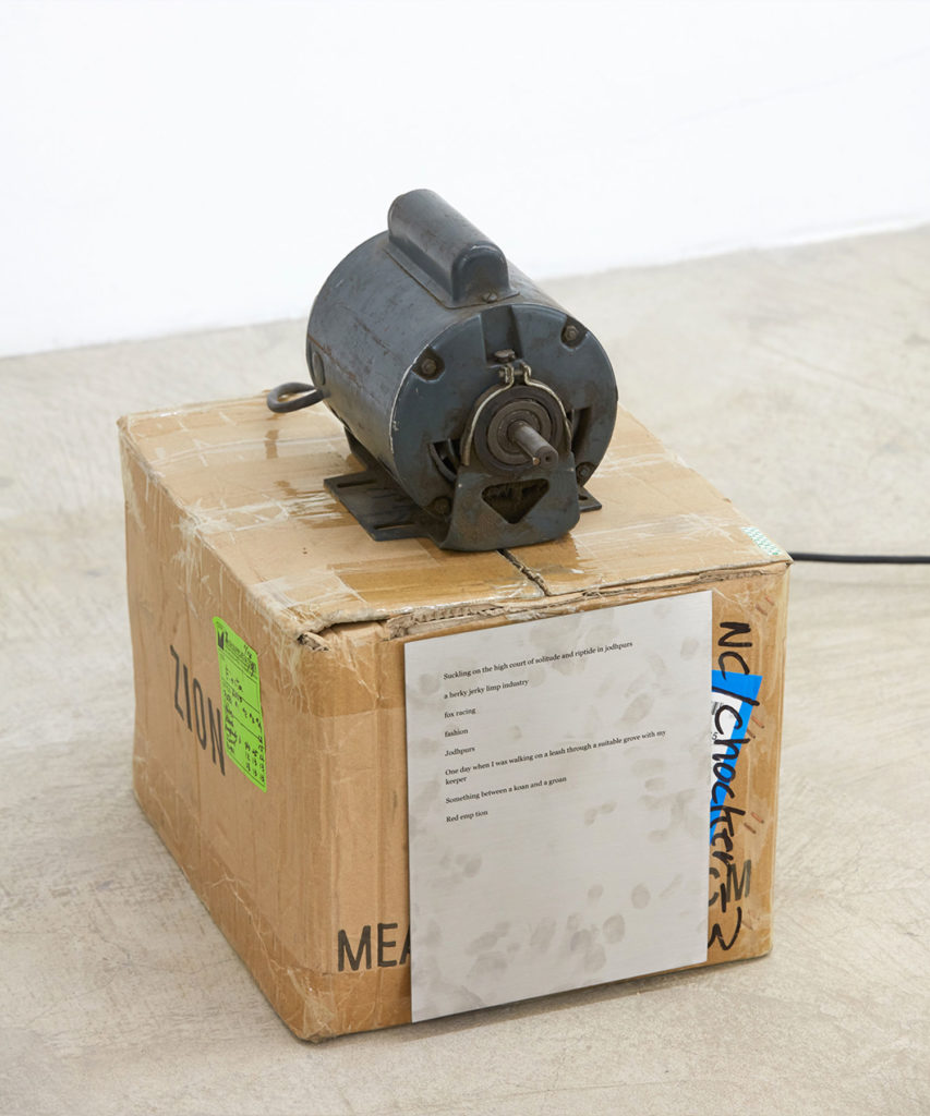 George Egerton-Warburton Chateau Shatto / Los Angeles | Flash Art