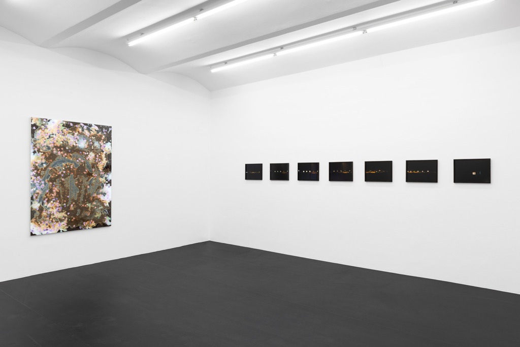 Lucie Stahl Galerie Meyer Kainer / Vienna | Flash Art