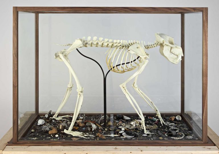 Between Two Bookends: Ecology and the Work of Mark Dion | | Flash Art