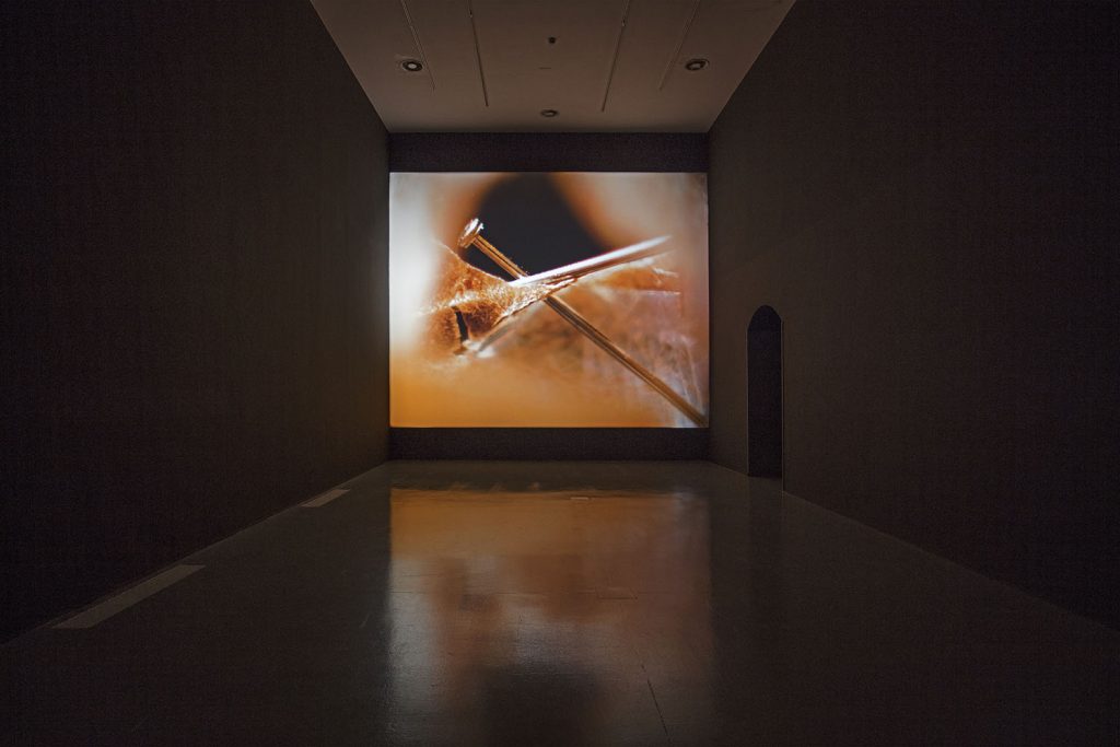 Adjacency: Luke Willis Thompson's Poethics of Care | | Flash Art