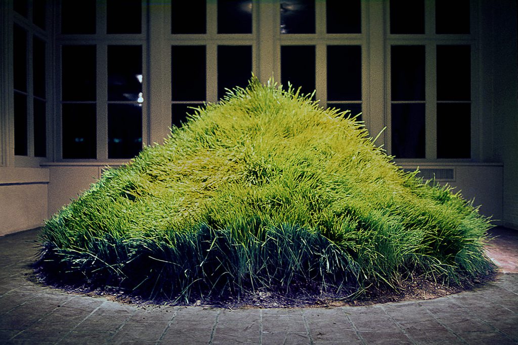 Hans Haacke New Museum / New York | | Flash Art