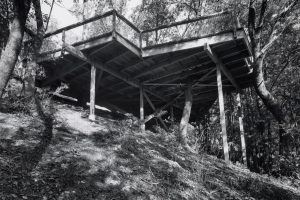 Anna Halprin's Dance Deck | | Flash Art