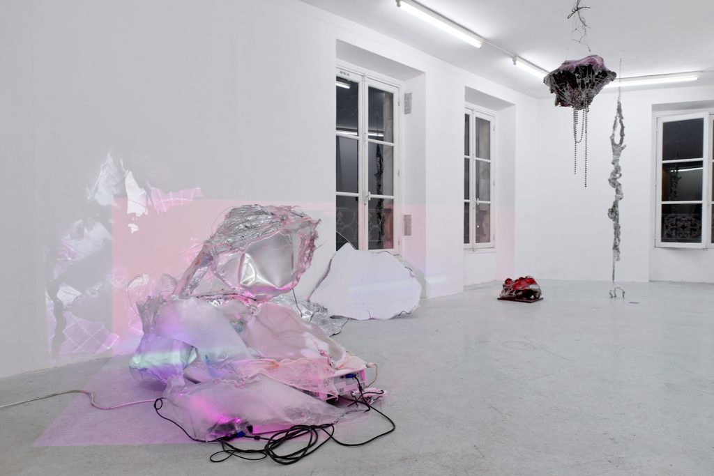 Daiga Grantina Discusses "What Eats Around Itself" at the New Museum ...