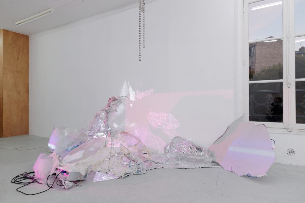 Daiga Grantina Discusses "What Eats Around Itself" at the New Museum ...