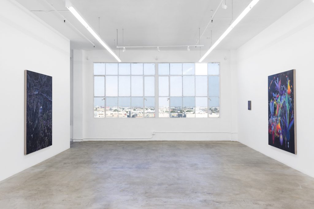 Van Hanos "Interiors" Chateau Shatto / Los Angeles | | Flash Art