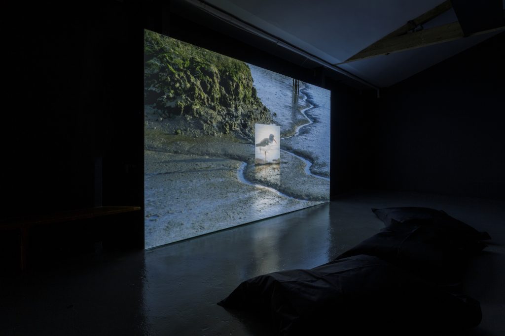 Episode I. Artificial Intelligence and Drag Performance: Jake Elwes's ...