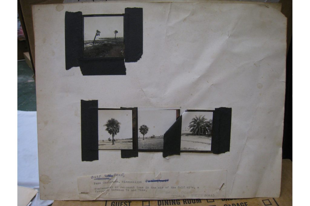 The Memories and Materials of Maryanne Amacher: In Conversation with ...