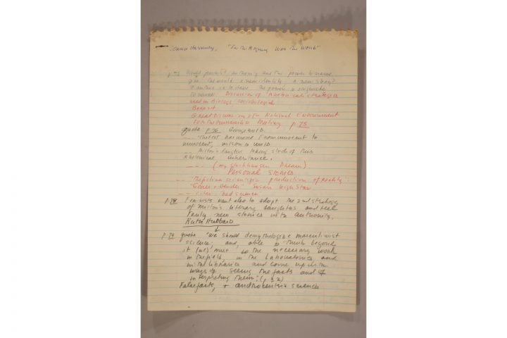 The Memories and Materials of Maryanne Amacher: In Conversation with ...