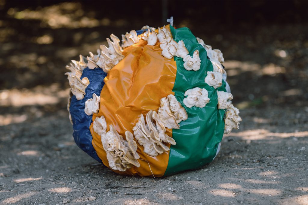 Nour Mobarak: Movements of Spheres for a Hybrid Economy of Desire ...