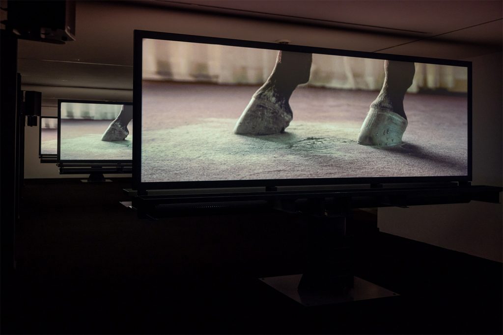 Doug Aitken "New Era" MCA – Museum of Contemporary Art / Sydney ...