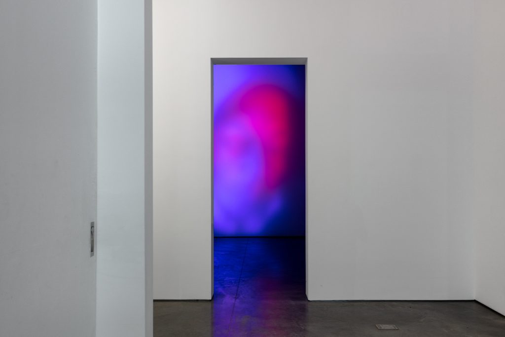 Rachel Rose "Enclosure" Gladstone Gallery / New York | | Flash Art
