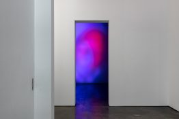 Rachel Rose "Enclosure" Gladstone Gallery / New York | | Flash Art