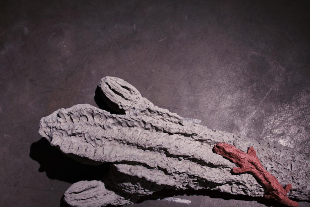 A Conversation with Alice Rekab about "Family Lines" at Douglas Hyde ...