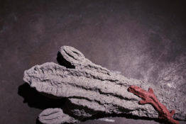 A Conversation with Alice Rekab about "Family Lines" at Douglas Hyde ...