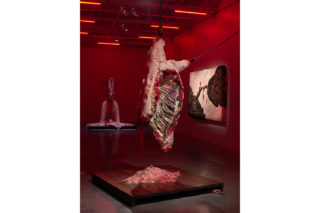 Doreen Lynette Garner "REVOLTED" The New Museum / New York | | Flash Art