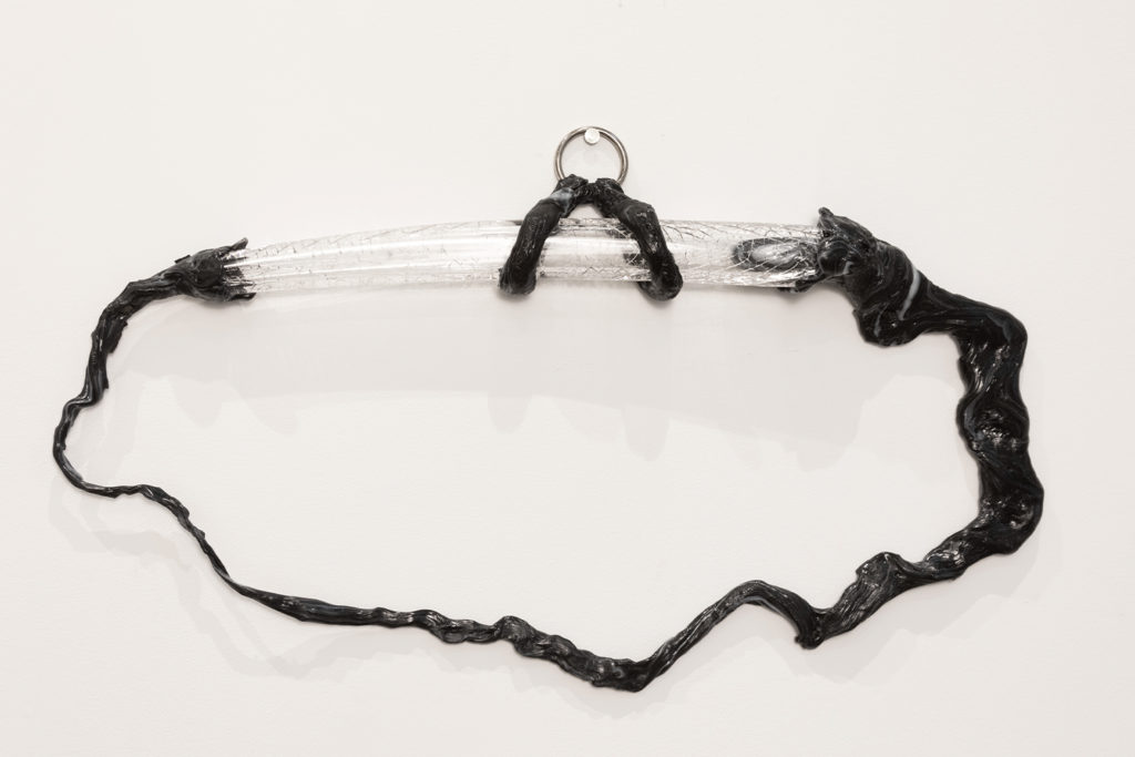 Hayden Dunham "Transmutation" Company Gallery / New York | | Flash Art