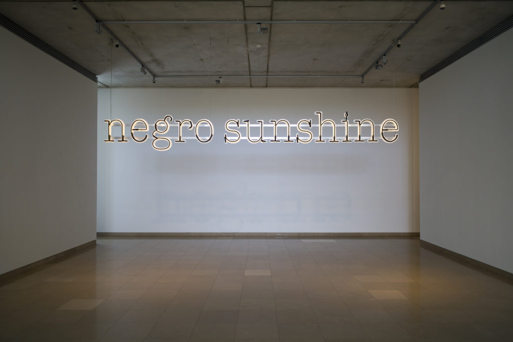Glenn Ligon "Post-Noir" Carré d'Art–Musée d'art contemporain / Nîmes ...