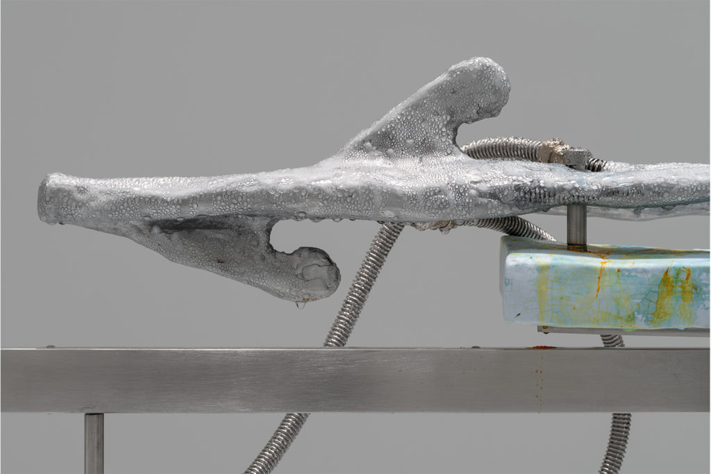 Resilient Bodies; Enchanted Matter Attuned to Death. A Conversation ...