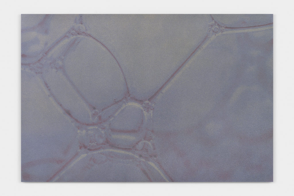 Tauba Auerbach "Free Will" Paula Cooper Gallery / New York | | Flash Art
