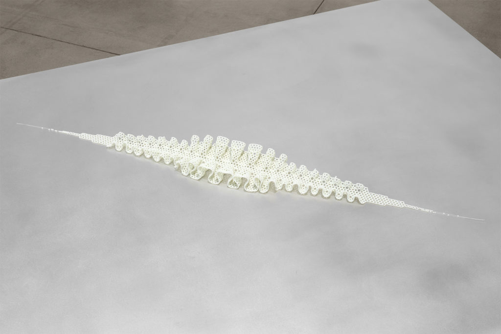 Tauba Auerbach "Free Will" Paula Cooper Gallery / New York | | Flash Art
