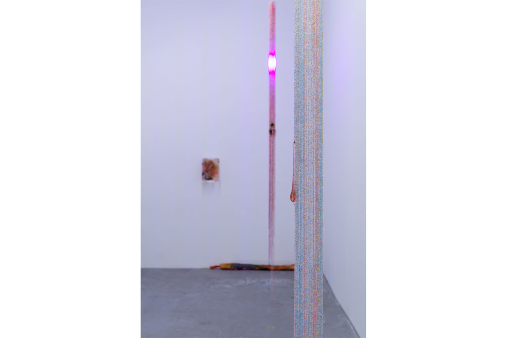 Mimosa Echard: Escape More, See Less | | Flash Art