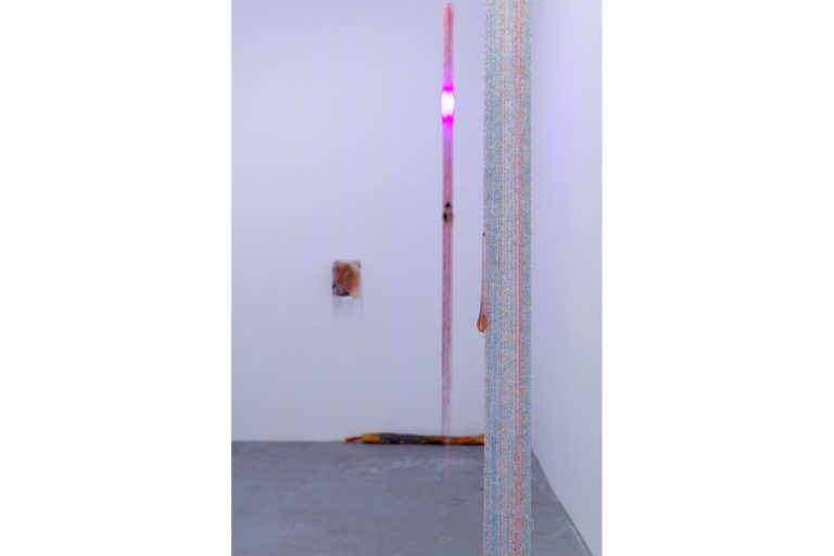 Mimosa Echard: Escape More, See Less | | Flash Art