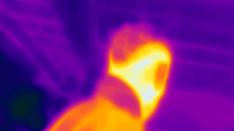 Show Them, Tell Them, Don't Explain. A Conversation with Sara Sadik | | Flash Art