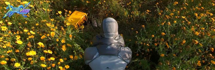 Show Them, Tell Them, Don't Explain. A Conversation with Sara Sadik | | Flash Art